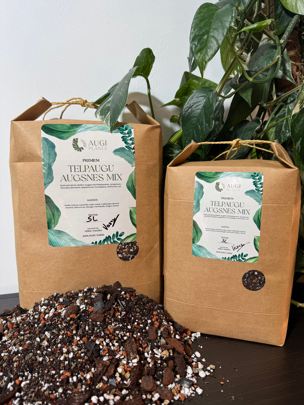 Visi telpaugi – www.augi-plants.lv