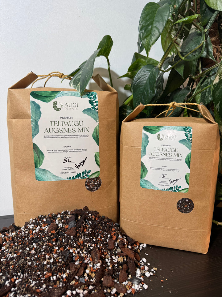 Visi telpaugi – Augi-Plants