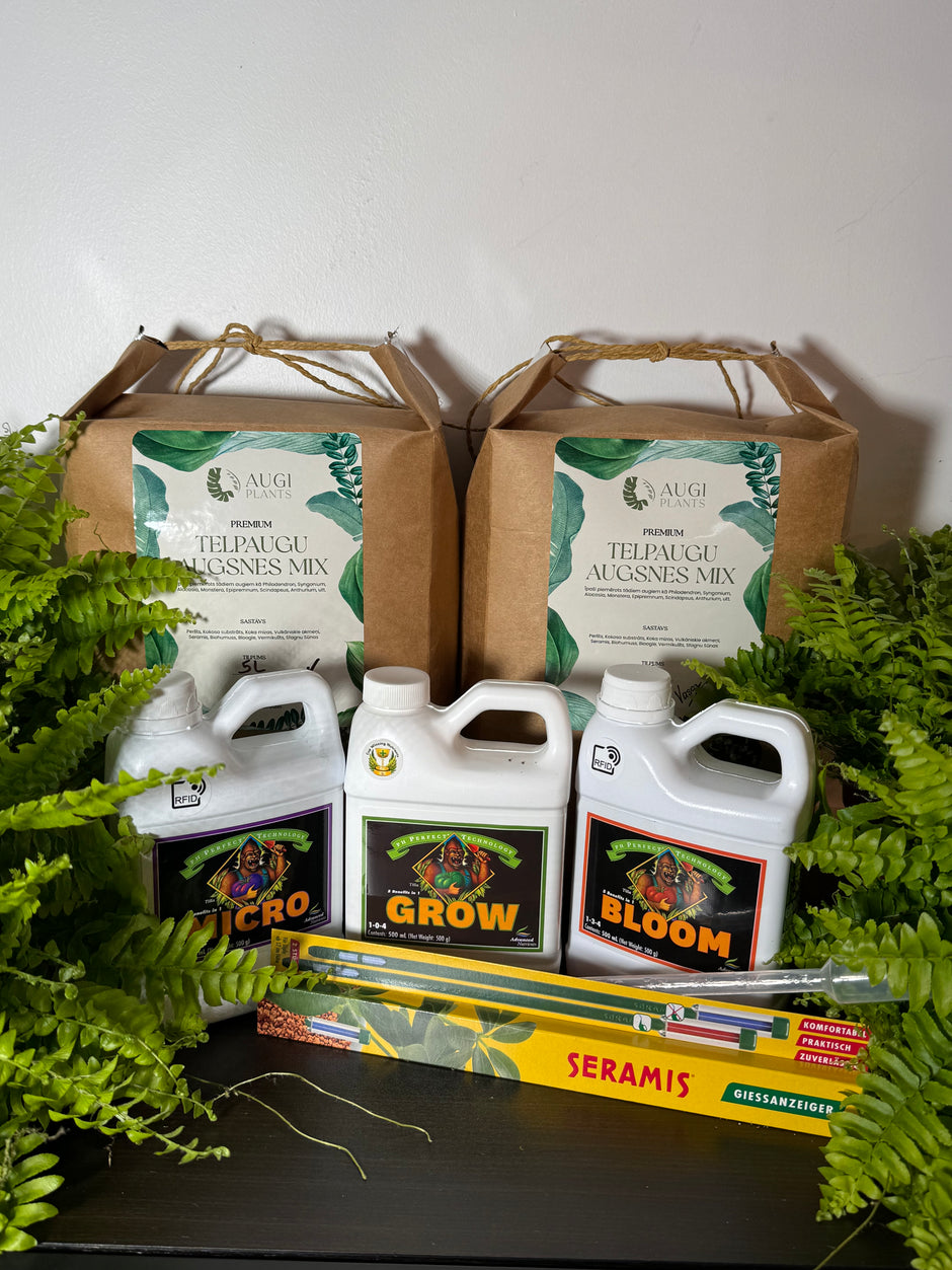 Visi telpaugi – www.augi-plants.lv